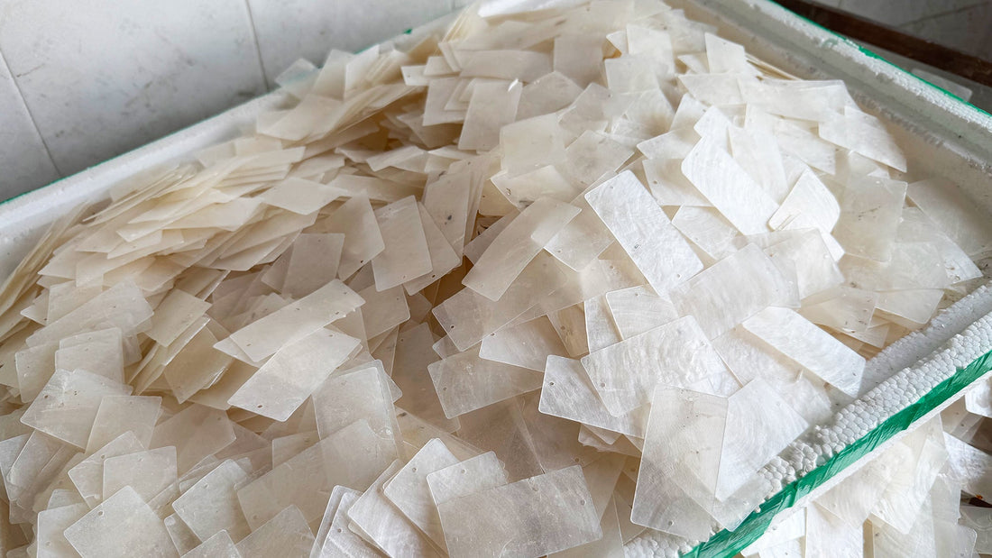 Echoes of the Ocean: The Luminous Story of Our Shell Waterfall Chandel ...