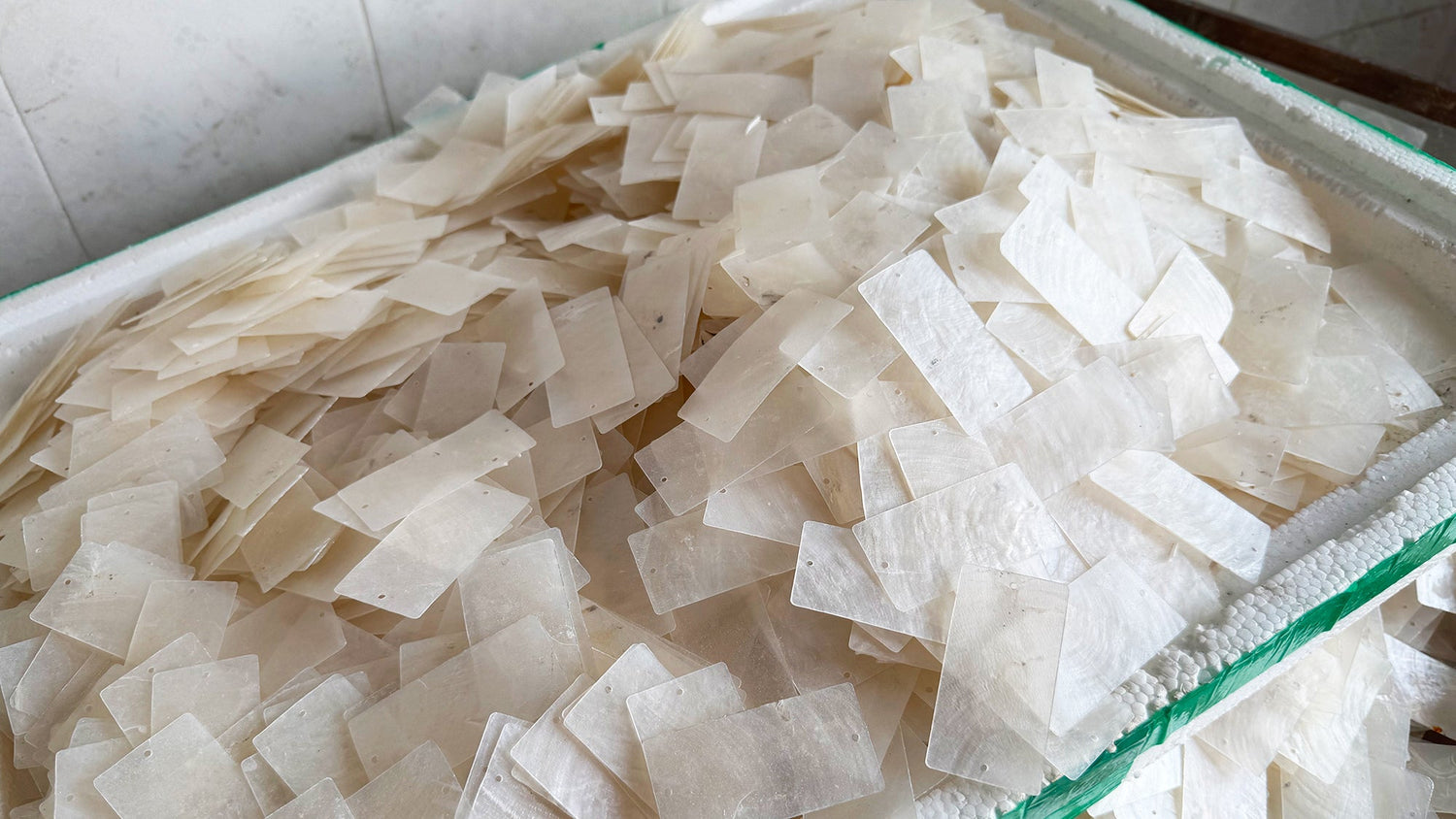 Echoes of the Ocean: The Luminous Story of Our Shell Waterfall Chandel ...