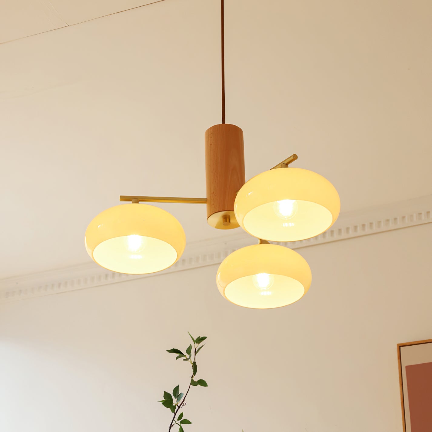 Elliptical Persimmon Chandelier – Radilum