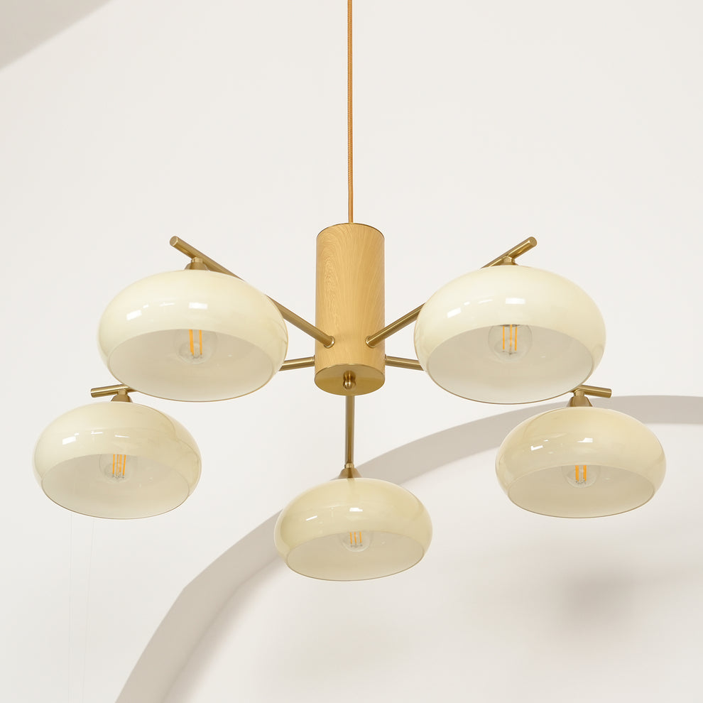 Elliptical Persimmon Chandelier – Radilum