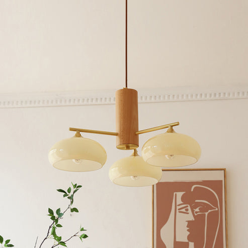 Elliptical Persimmon Chandelier – Radilum