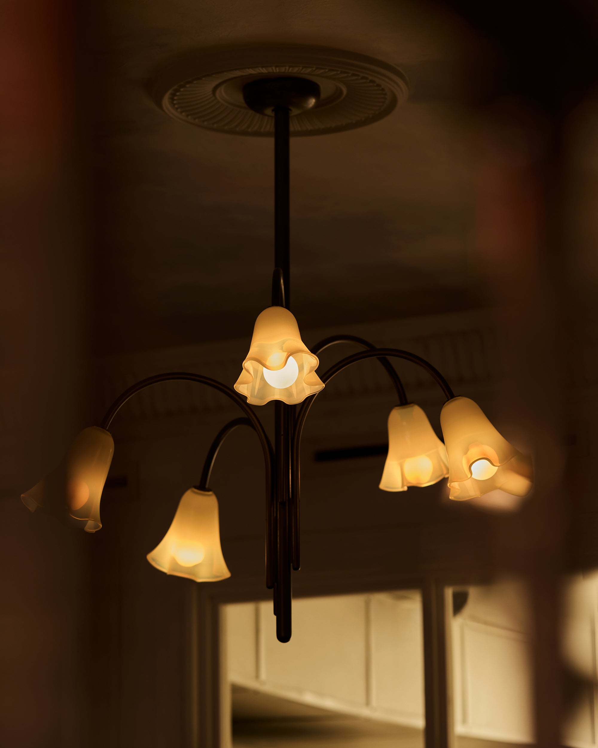 Flora Glass Chandelier – Radilum